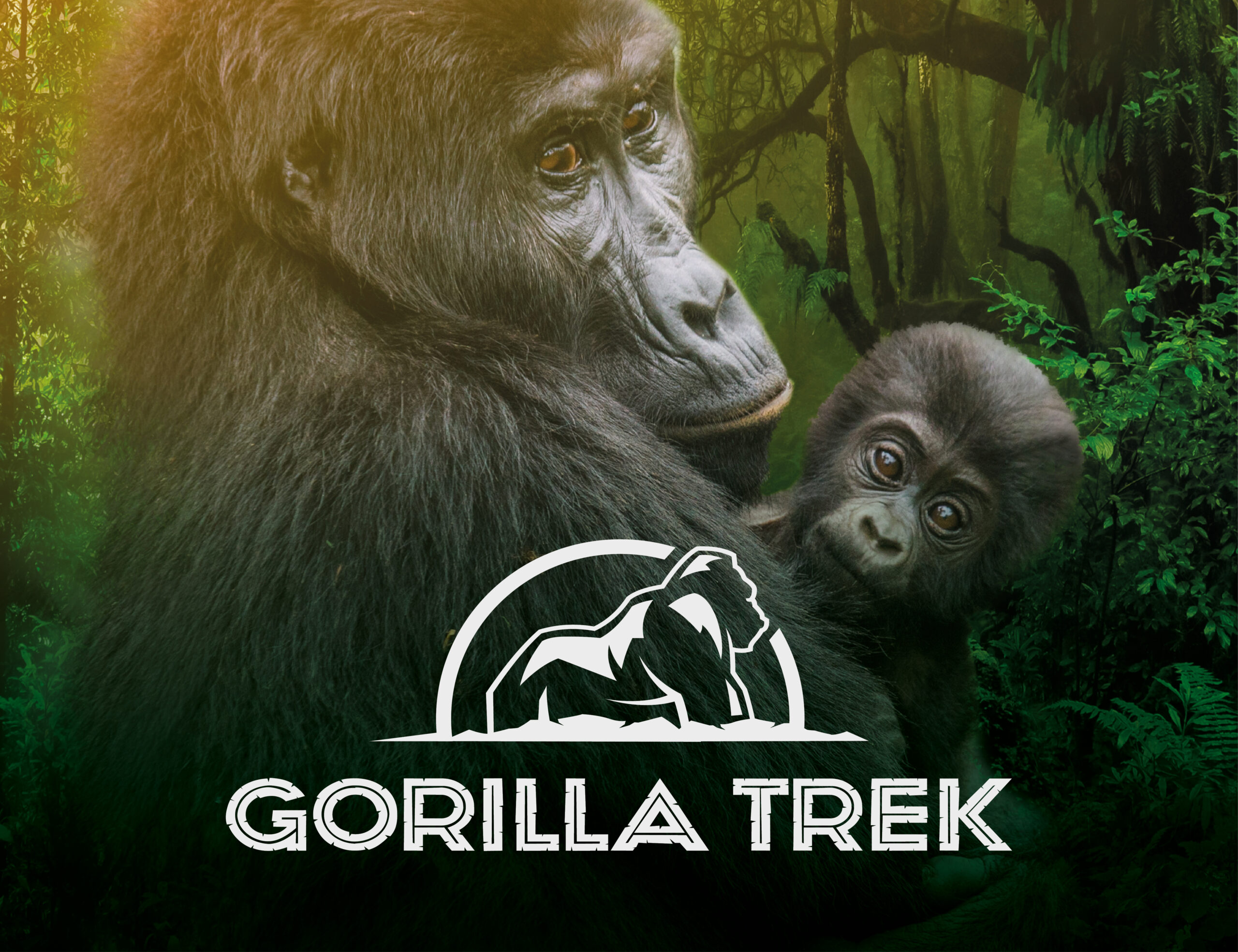 Virtual Reality Experiences | Chester Zoo