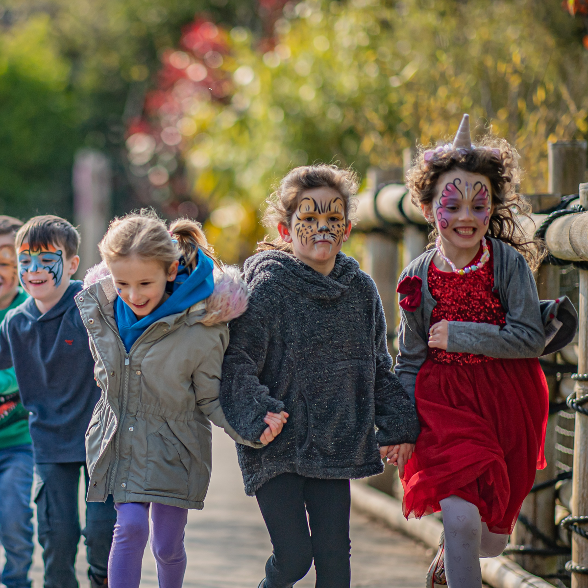 Birthday parties | Chester Zoo