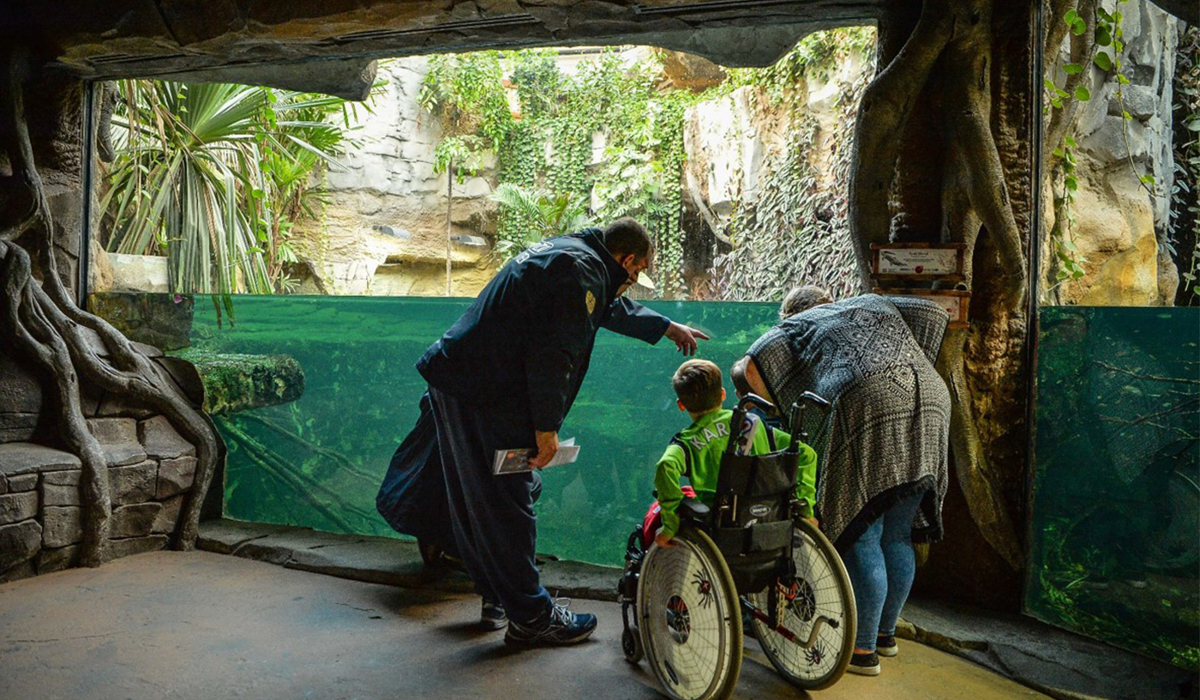 Volunteer at Chester Zoo | Volunteering Opportunities | Chester Zoo