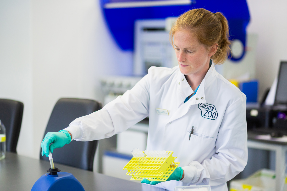 International centre for zoo science