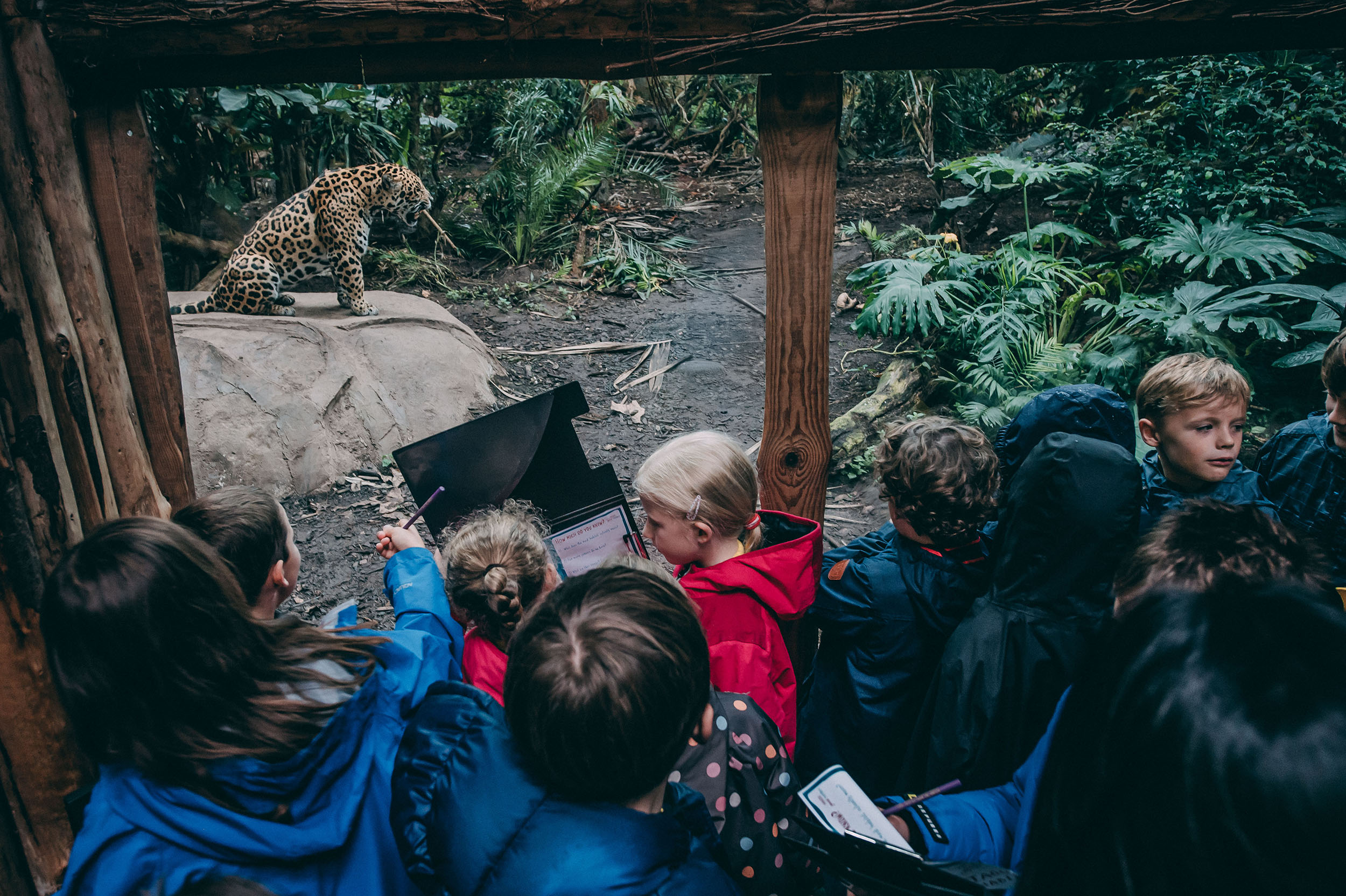 Learning resources | Chester Zoo