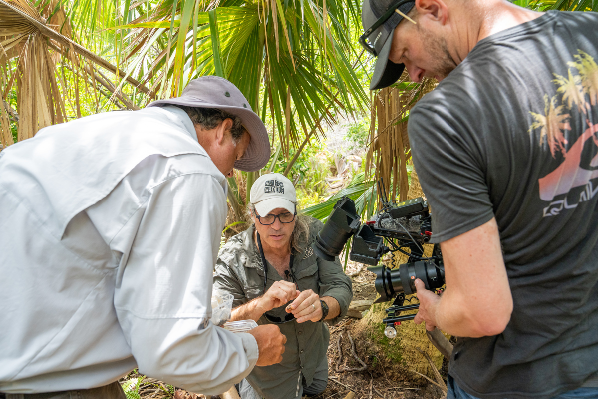 Filming consent | Chester Zoo