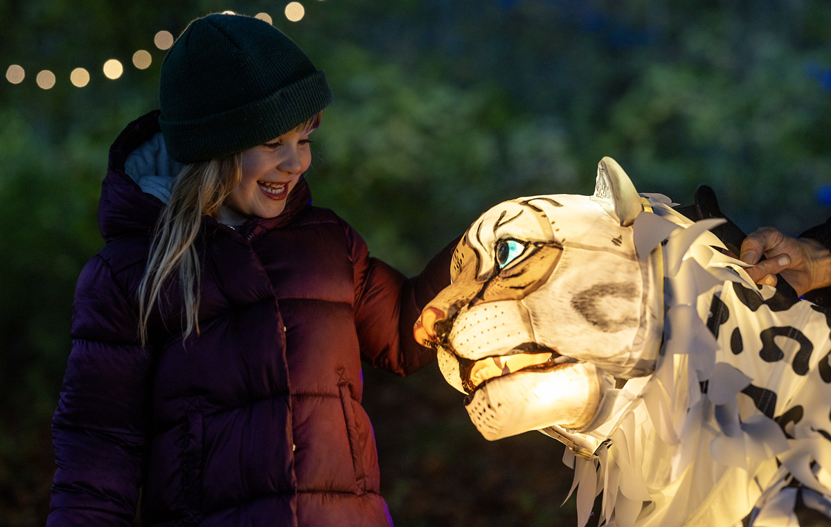 From sketch to spotlight: The making of our Lanterns & Light puppets ...