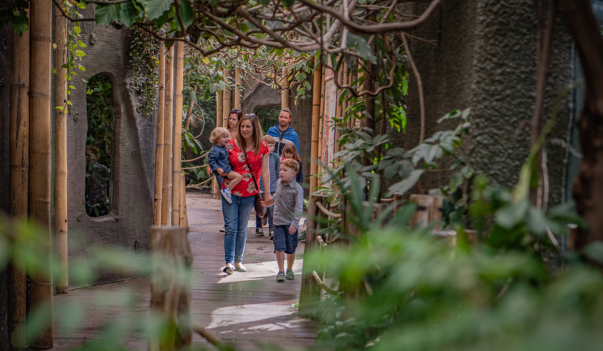 Marketing workshop | Educational workshops | International Conservation ...