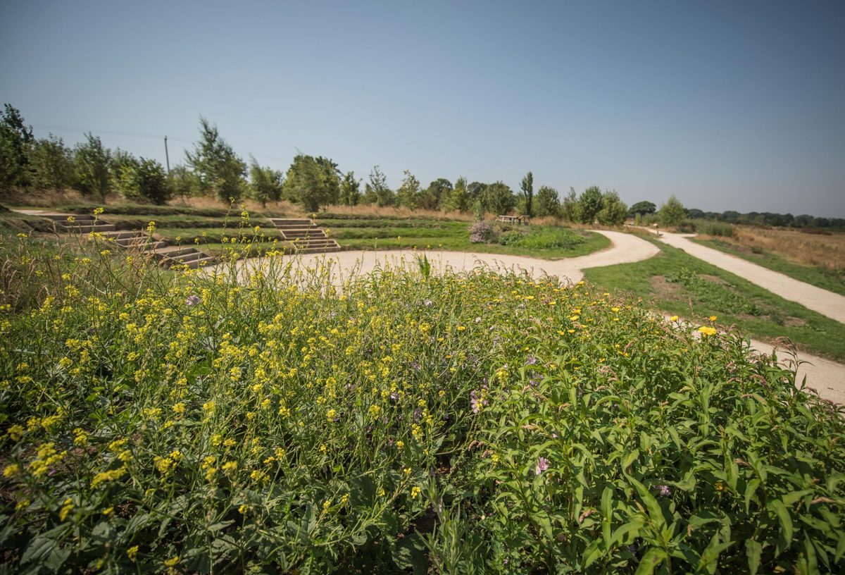 Young UK Wildlife Surveying Skills | Chester Zoo