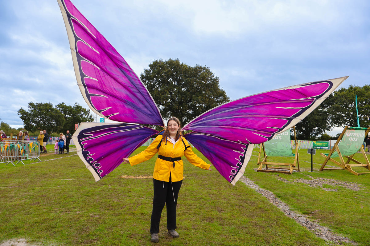 Networks for Nature Festival: Volunteer planning group | Chester Zoo