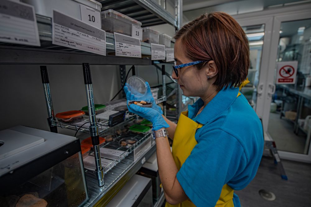 Careers at Chester Zoo | Chester Zoo