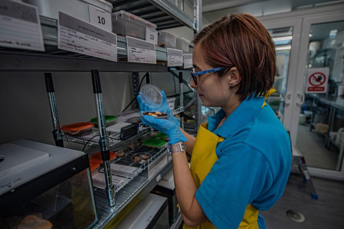 Careers at Chester Zoo | Chester Zoo