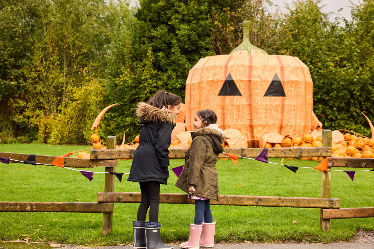 Halloween at Chester Zoo | Chester Zoo