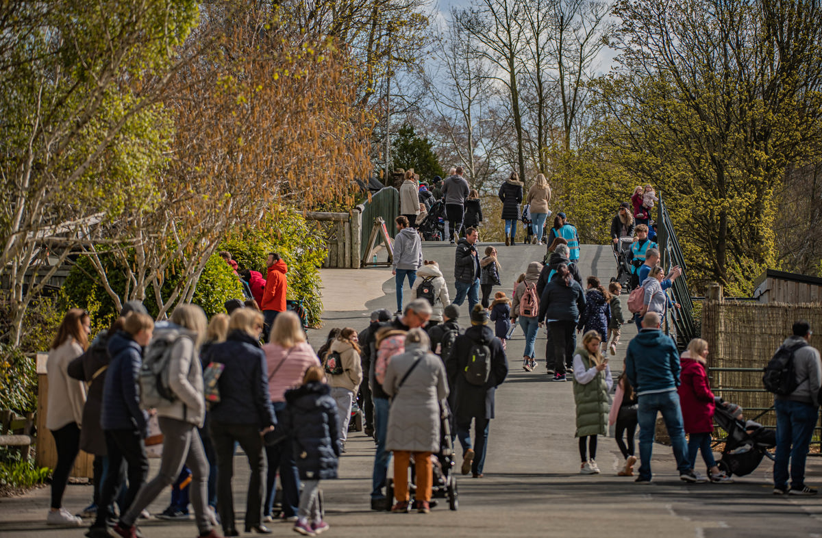 Understanding Conservation Problems