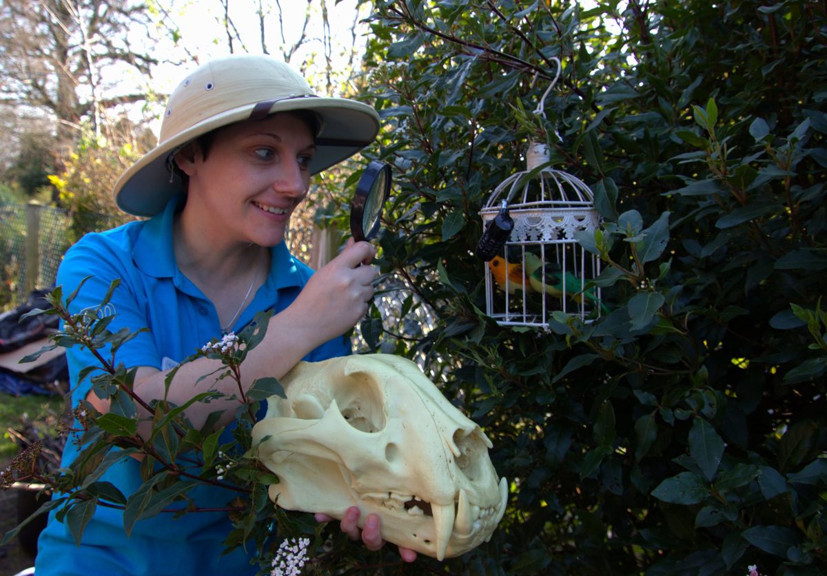 Conservation escape room | Educational workshops | International ...