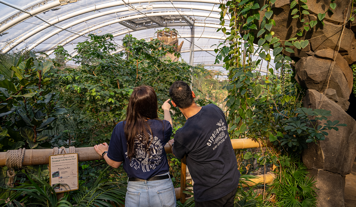 Islands Adventure | Experiences at Chester Zoo