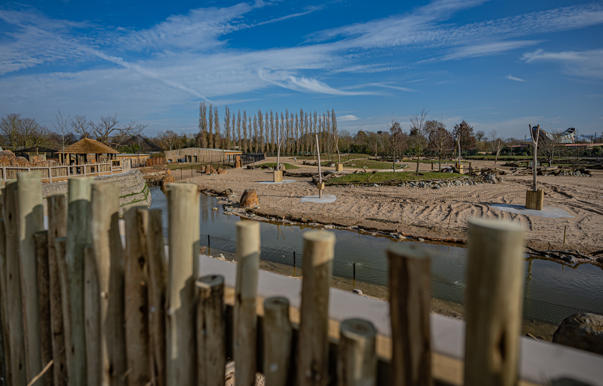 Heart of Africa | Chester Zoo