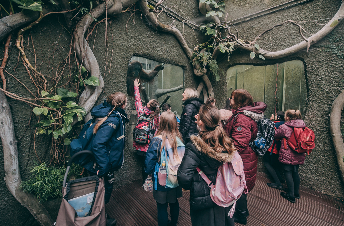 Chester Zoo to host 2025 EAZA Conservation Education Conference