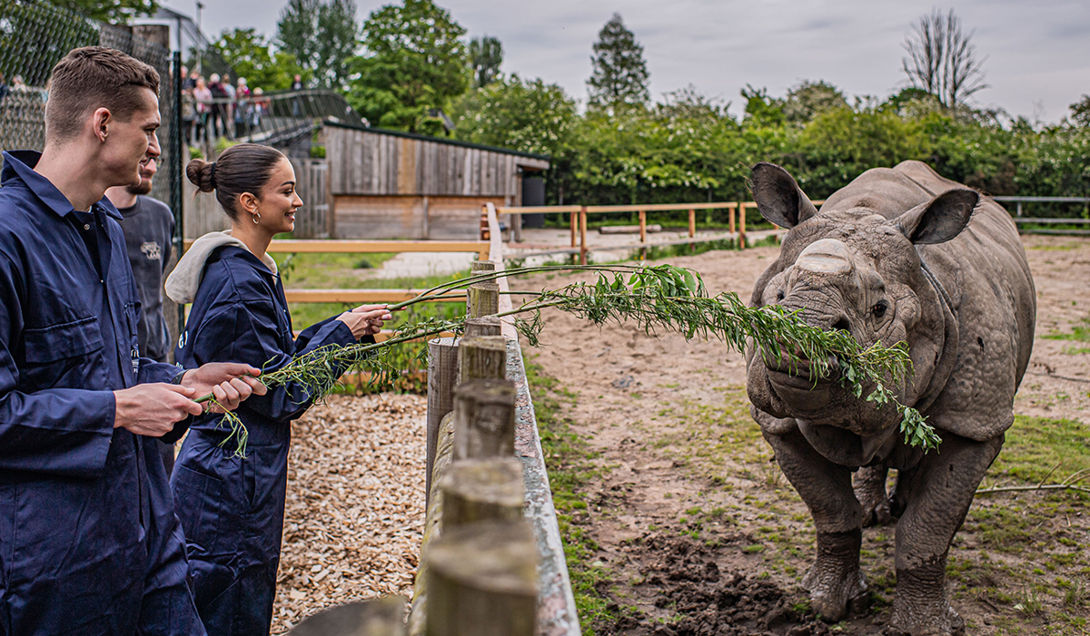 Rhino Experience | Experiences at Chester Zoo