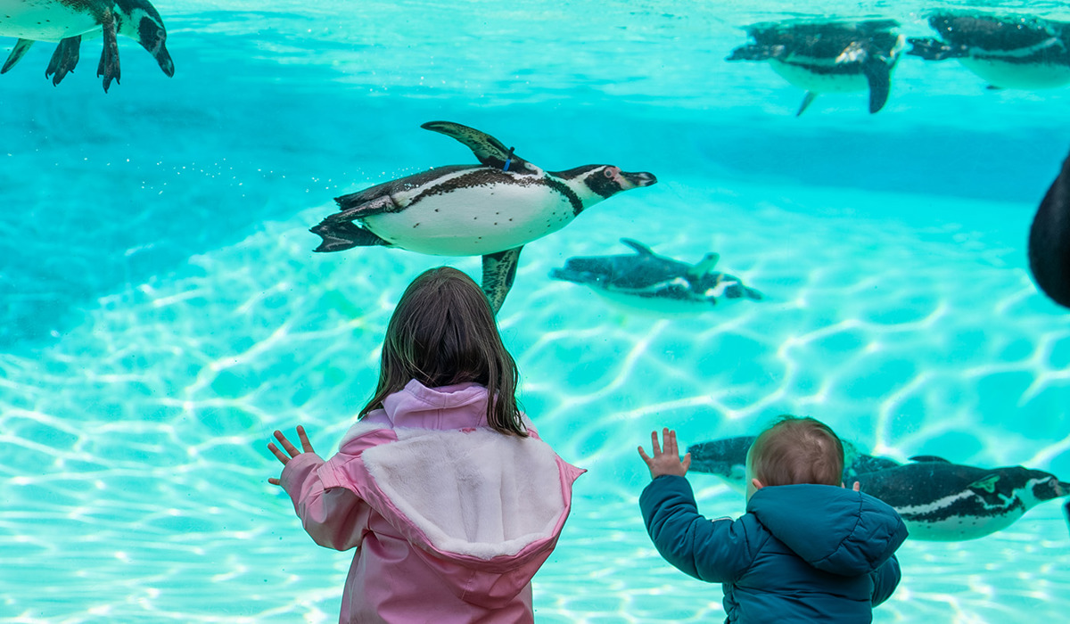 New research finds that visiting zoos and aquariums can inspire people ...